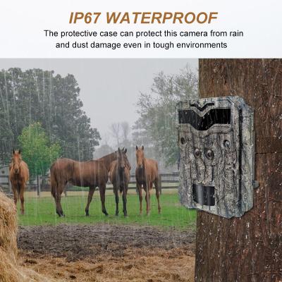 China Jachtcamera KW698A dubbele sensoren 0,25s opname snelheid 30MP 1080PHD geen gloed 100ft nachtbereik waterdicht IP67 scouting camera Te koop