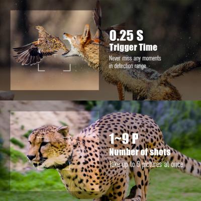China Infrared Hunting Camera 30MP1080P Dual-lens Game Cameras for Outdoor Wildlife Trap Waterproof 940nm IR Camera for sale