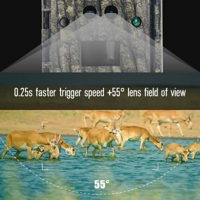 China Infrared Hunting Camera 30MP1080P Dual-lens Game Cameras for Outdoor Wildlife Trap Waterproof 940nm IR Camera for sale