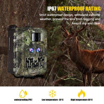 China Sales Promotion 39USD Dual lens/Dual sensor Wildlife Game Camera 30MP 1080P No-Glow 940nm With Day And Night Sensor for sale