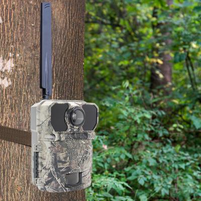 China Outdoor Trail Camera Trap Game Infrared Hunting Camera Wildlife Nature Video Camera for sale