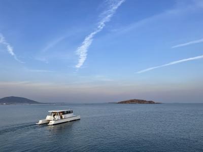 China Short Transport Pure Electric Ferry 14M FRP Catamaran High Efficiency Energy Saving for sale