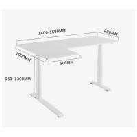 China Multi-Function Adjustable Table Electric Motor Lifting Sit Stand Desk for Professional for sale
