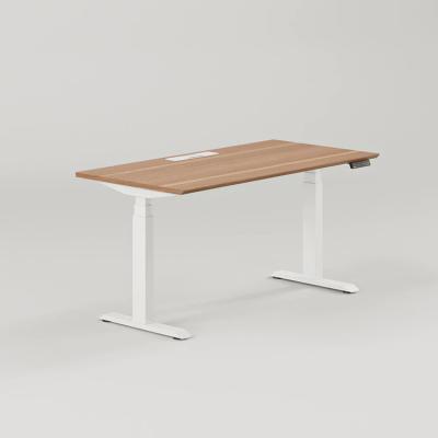 Cina Dispositivo di altezza regolabile scrivania elettrica in piedi personalizzata con doppio motore Smart Desk per commercio in vendita