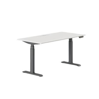 Cina Dispositivo di altezza regolabile scrivania elettrica in piedi personalizzata con doppio motore Smart Desk per commercio in vendita
