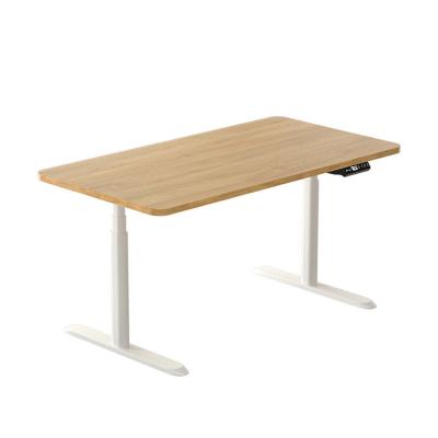 China Moderno Design Custom Dual Motor Standing Desk para Estudo SPCC aço / Ferro Material Quadro à venda