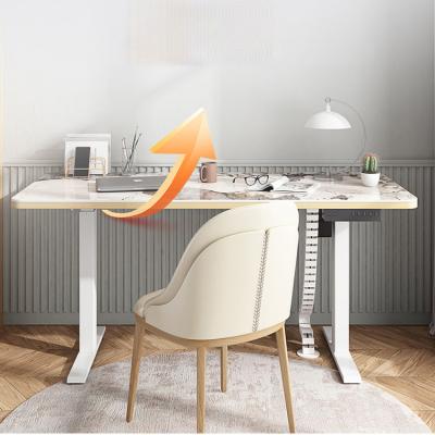 China Ergonomischer Büro-Schreibtisch mit Multifunktionsanpassung mit 2 Stufenhebe zu verkaufen