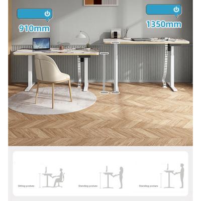China Ergonomischer Büro-Schreibtisch mit Multifunktionsanpassung mit 2 Stufenhebe zu verkaufen