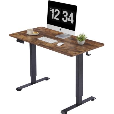 China Edifício de escritórios Petite Ergonomic Francês Um Motor Elétrico Standing Desk para Crianças à venda