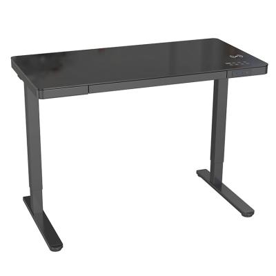 Cina Modern Electric Height Adjustable Desk for Home Office 710 mm Piccolo supporto per computer in vetro in vendita