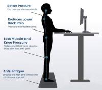 China Customizable Electric Height Adjustable Standing Workstation for 60 KG Weight Capacity for sale