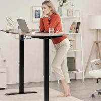 China Single Motor Electric Height Adjustable Computer Desk for Home Office DIY Workbench for sale