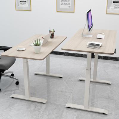 Cina Home Office Elettrico Regolabile in altezza Piccola scrivania per computer con motore singolo o doppio in vendita