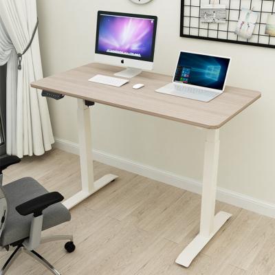 Cina Home Office Elettrico Regolabile in altezza Piccola scrivania per computer con motore singolo o doppio in vendita