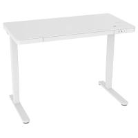 China Multi-Function Adjustable Table Electric Motor Lifting Sit Stand Desk for School for sale