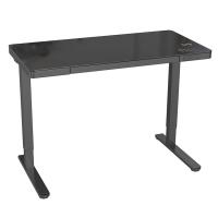 China Multi-Function Adjustable Table Electric Motor Lifting Sit Stand Desk for School for sale
