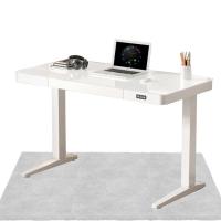 China Multi-Function Adjustable Table Electric Motor Lifting Sit Stand Desk for School for sale
