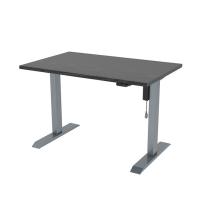 China Electric Standing Computer Desk with Customization Options 80 kgs Weight Capacity for sale