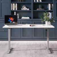 China Electric Standing Computer Desk with Customization Options 80 kgs Weight Capacity for sale