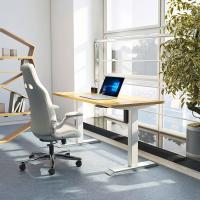 China Electric Standing Computer Desk with Customization Options 80 kgs Weight Capacity for sale