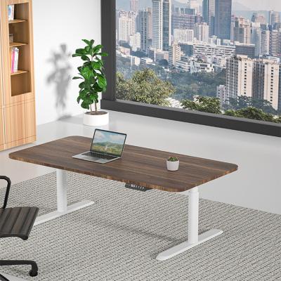 China 100 V/Hz Dual Motor Hoogte Verstelbare Schrijftafel Luxe Mid Century Moderne Schrijftafel voor thuis Te koop