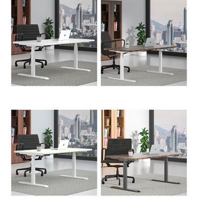 China 100 V/Hz Dual Motor Hoogte Verstelbare Schrijftafel Luxe Mid Century Moderne Schrijftafel voor thuis Te koop