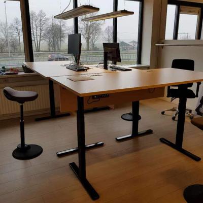 Cina Altezza regolabile a doppio motore Stand Up Desk Design moderno per Home Office Gaming Setup in vendita