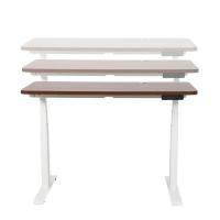 China Custom Design Tea Caffe Table Height Adjustable Electric Desk Double Motor for School for sale