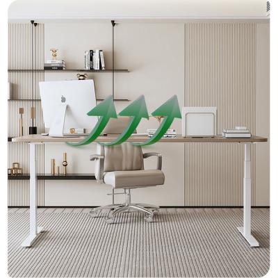 Cina Moderno design stile altezza regolabile a doppio motore Stand Up Desk per Home Office Gaming in vendita