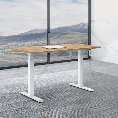 Cina Scrivere tavolo Modern Office Desk con graina di legno personalizzato e regolazione di altezza elettrica in vendita