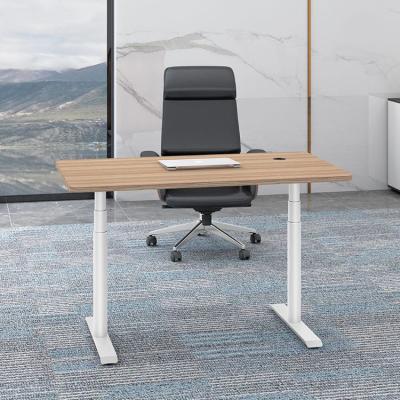 Cina Scrivere tavolo Modern Office Desk con graina di legno personalizzato e regolazione di altezza elettrica in vendita