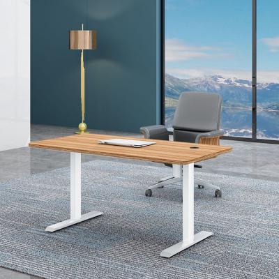 Cina Scrivere tavolo Modern Office Desk con graina di legno personalizzato e regolazione di altezza elettrica in vendita
