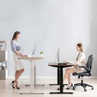 China 80 kgs Load Capacity Electric Sit Standing Study Table for Up/Down Operation Panel for sale