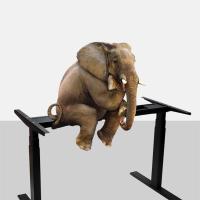 China 80 kgs Load Capacity Electric Sit Standing Study Table for Up/Down Operation Panel for sale