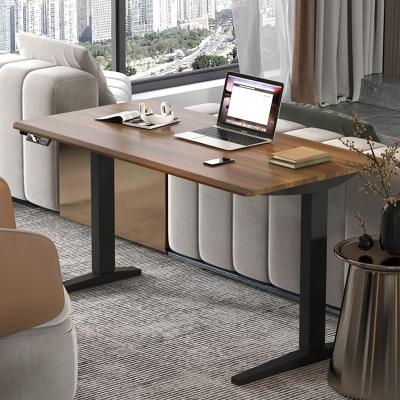 Cina Doppio motore Electric Up Lift Desk Personalizzato Libero Tempo Sedere e Stare in piedi Tavolo da ufficio con telaio colorato in vendita