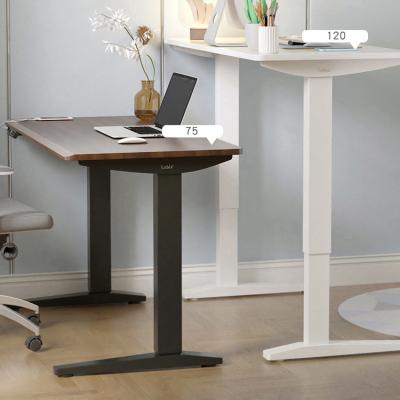 Cina Doppio motore Electric Up Lift Desk Personalizzato Libero Tempo Sedere e Stare in piedi Tavolo da ufficio con telaio colorato in vendita