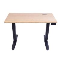 China Extra Large Dual Motor Height Adjustable Electric Office Desk with Standing Function for sale