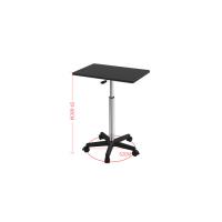 China Kid Computer Study Standing Table with Height Adjustable Pneumatic Desk in Zhejiang for sale