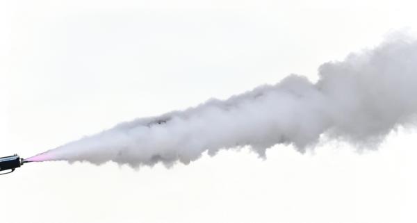 Quality Professional 2000W High-Performance Smoke Gun with Adjustable Smoke Density and for sale