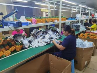 China Factory - SHENZHEN BEST ONE ELECTRONICS,CO.,LTD
