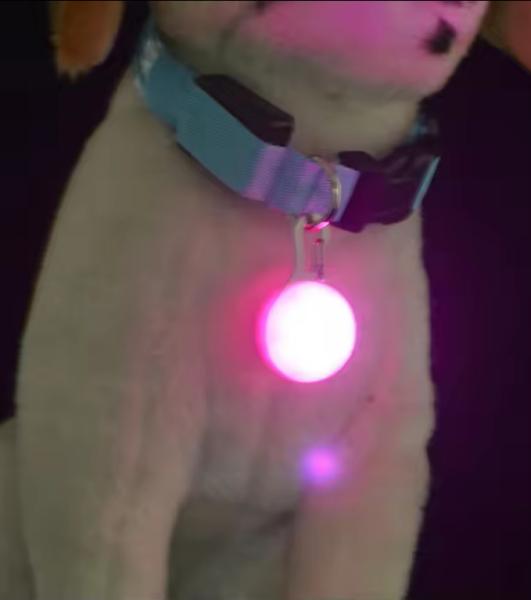 Quality Puppy LED Flashing Pet Collar Necklace Buckle Night Flashing Safety Lights For for sale