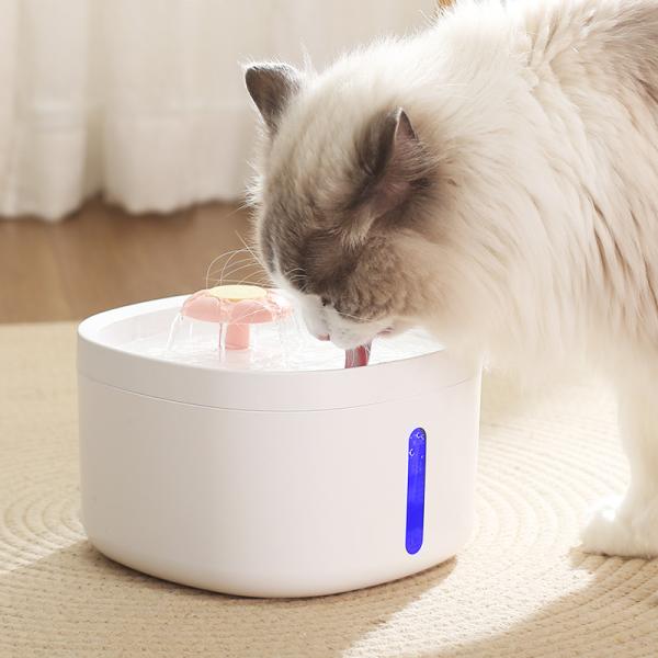 Quality Automatic Pet Drinking Water Fountain Food Grade Pet Water Fountain for sale