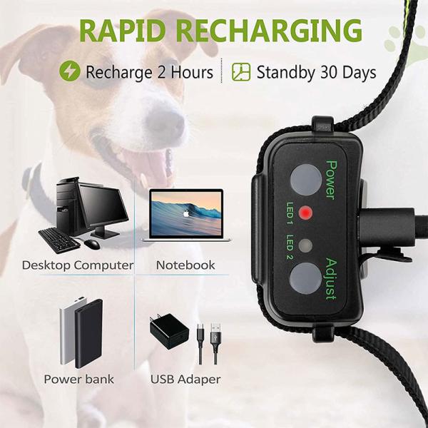 Quality Outdoor Remote Control Dog Training Collars Rechargeable Dog Bark Training for sale