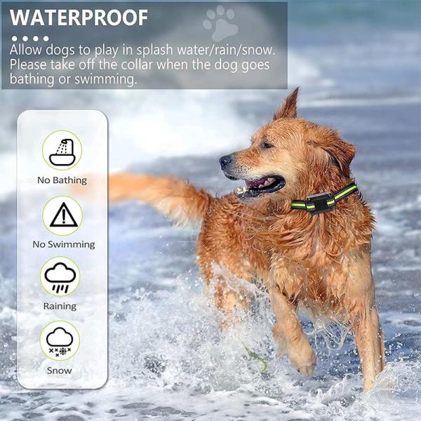 Quality Outdoor Remote Control Dog Training Collars Rechargeable Dog Bark Training for sale