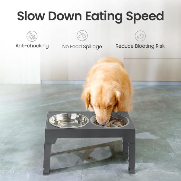 Quality Adjustable Lifting Slow Pet Food Bowl Outdoor Elevated Dog Bowls With Stand for sale