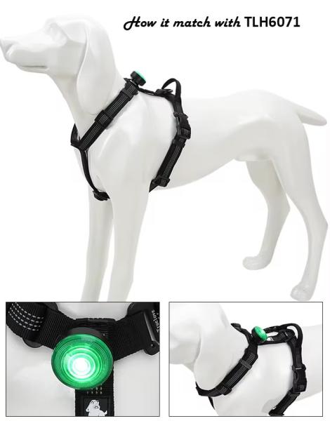 Quality Waterproof Pet Tag Safety Flashing Glow Light LED Blinking Dog Collar Light for sale