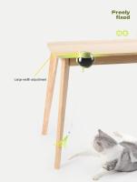 China Self Playing Pet Training Products Electric Automatic Lifting Interactive Cat Ball Toy for sale