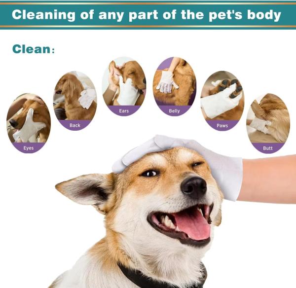 Quality Portable Convenient Pet Cleaning Tools Non Woven Pet Wipe Gloves For Cats And for sale