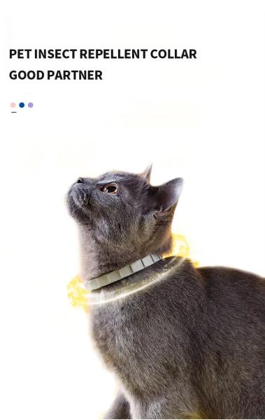 Quality Silicone Solid Pet Collars Pet Treatment Anti Flea And Tick Collar For Dogs And for sale