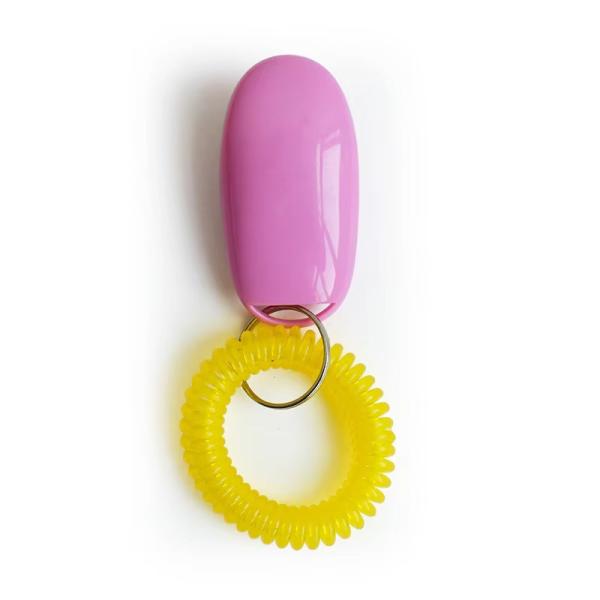 Quality Multi Color Interactive Pet Training Whistle High Tone Plastic Dog Whistle With for sale